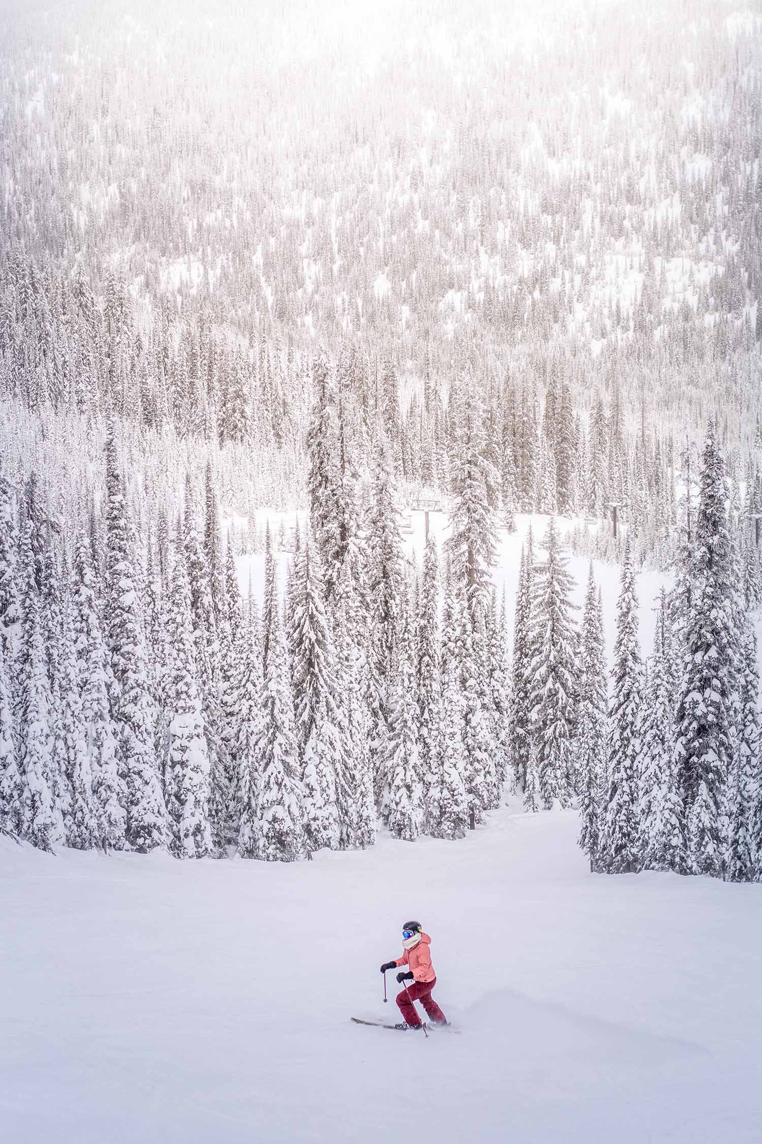 Capturing the Action - Stunning Winter Sports Photography