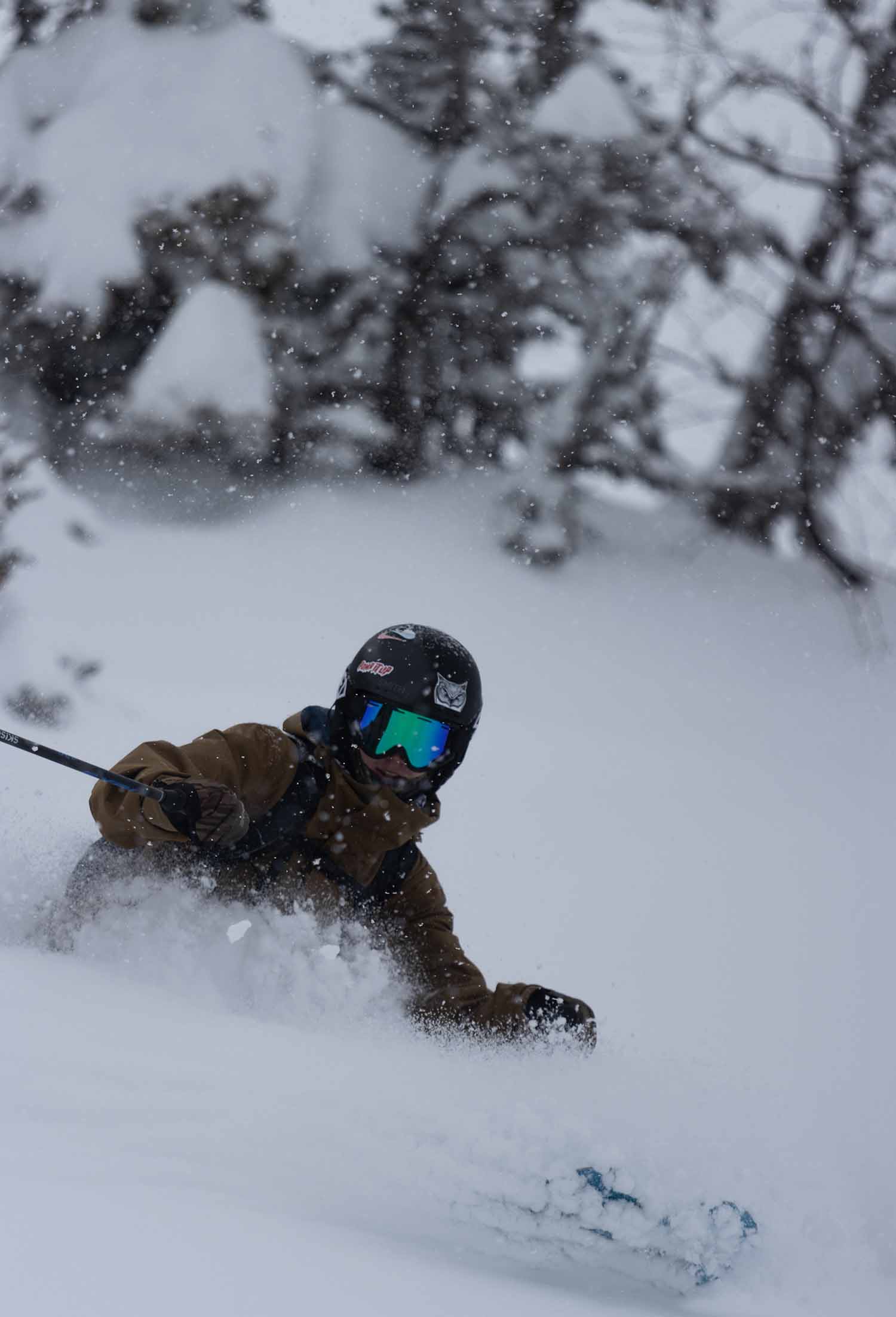 Capturing the Action - Stunning Winter Sports Photography