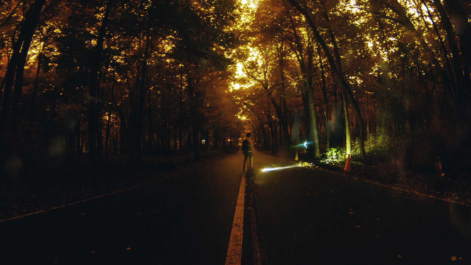 Tripods For Night Photography
